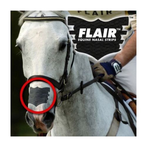 Flair Equine Nasal Strips | Race Zone Racing Supplies
